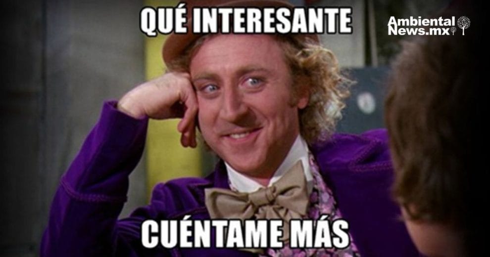 ¡Alerta! Tus Memes Favoritos Podrían Estar Dañando El Medio Ambiente ...