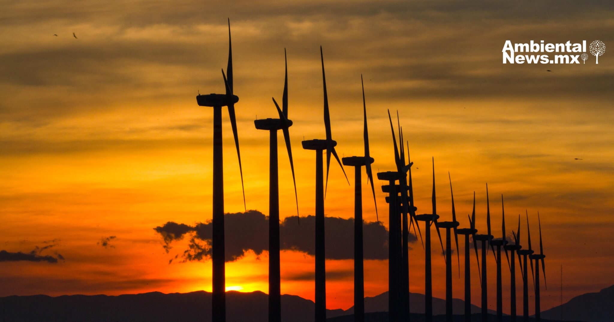 La Transición Energética En México: Retos Y Oportunidades | Ambiental News